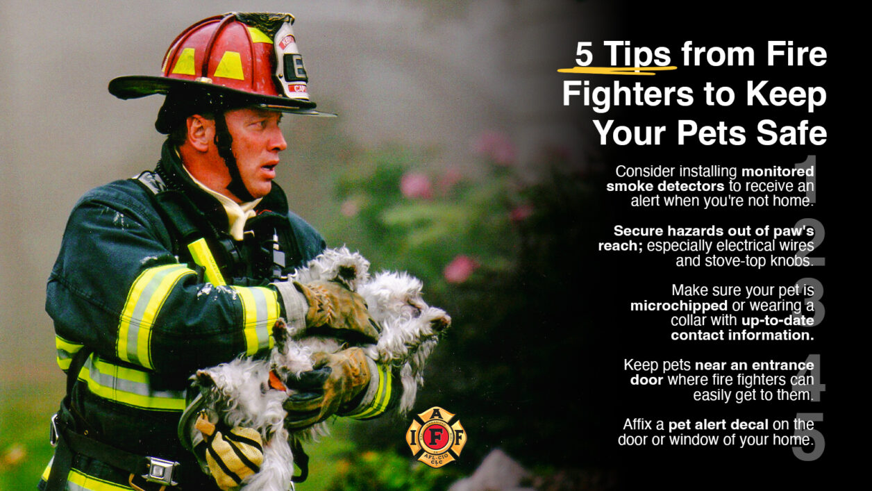 Pet Fire Safety - IAFF
