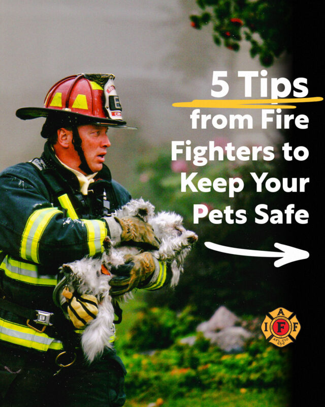 Pet Fire Safety - IAFF