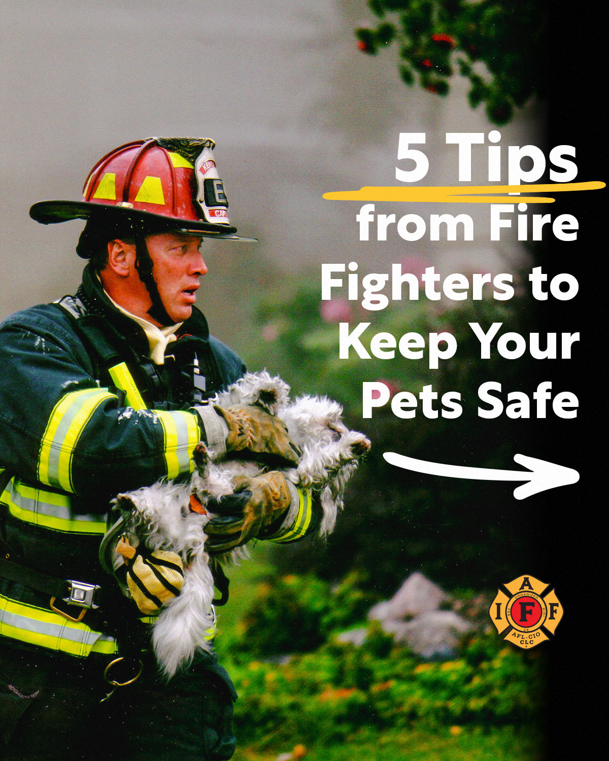 Pet Fire Safety - IAFF