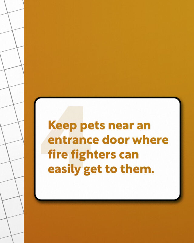 Pet Fire Safety - IAFF