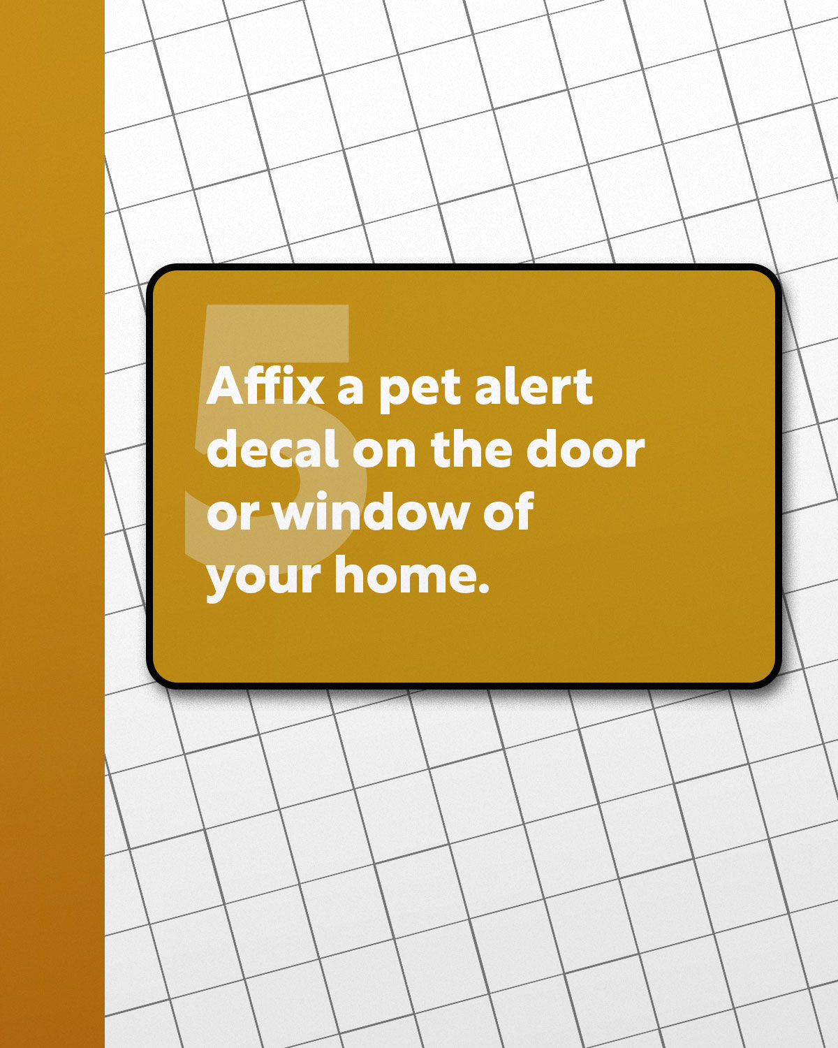 Pet Fire Safety - IAFF