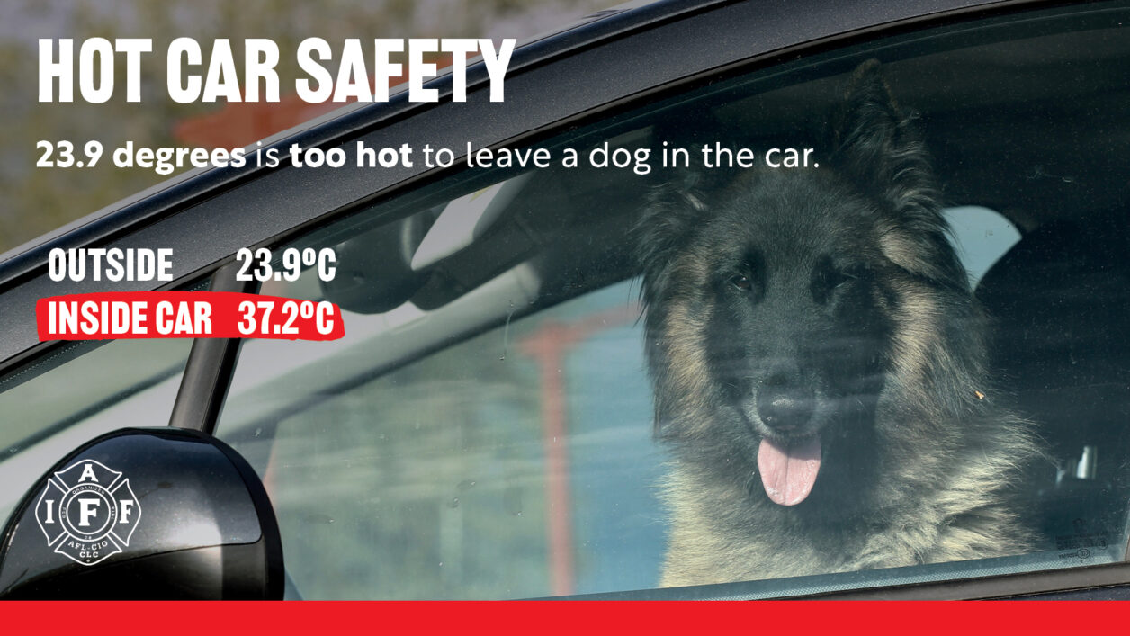 Warm Temperature Safety - IAFF